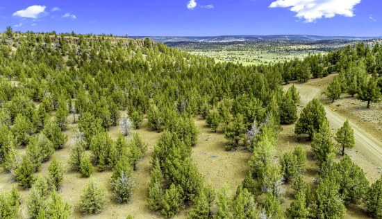 20-Acre Property in Modoc County, CA! | Real Estate Land | Online ...