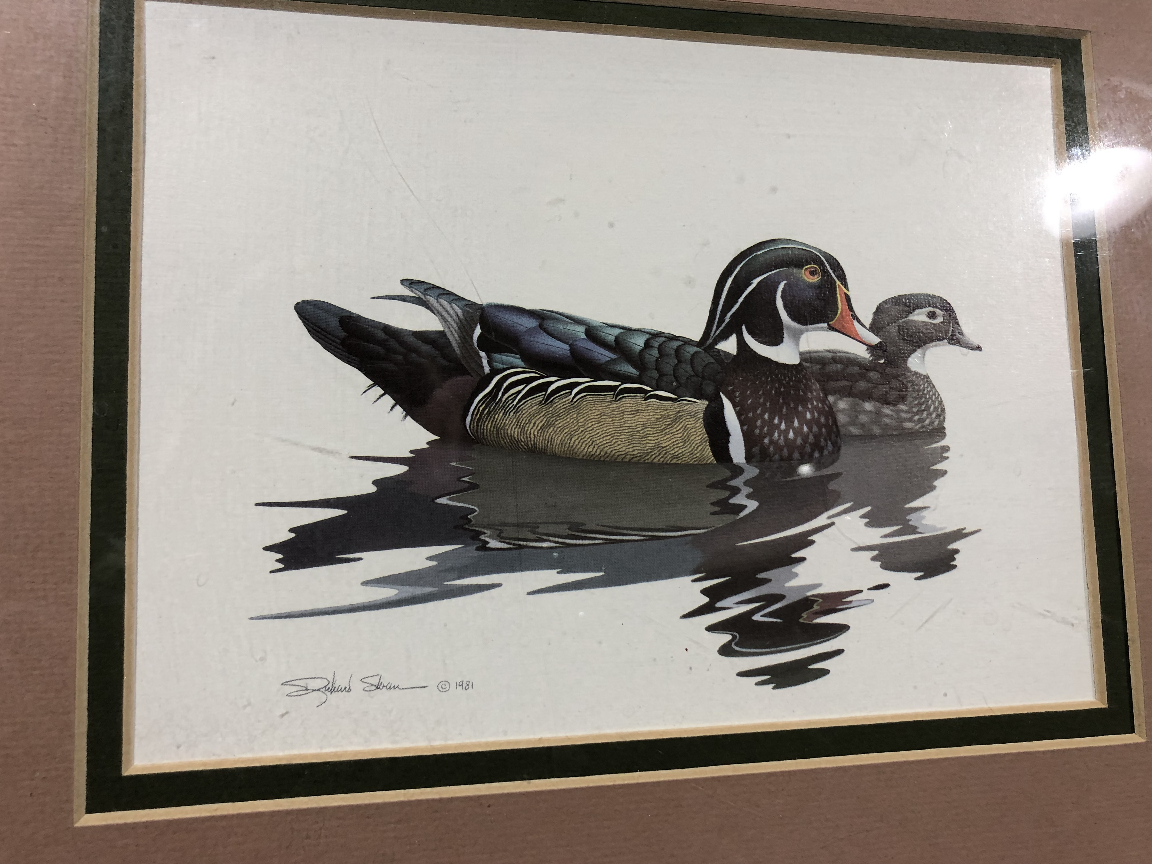 Gary Burghoff Paintings