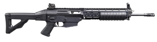 SIG SAUER SIG 556 SEMI-AUTOMATIC RIFLE. | Guns & Military Artifacts ...