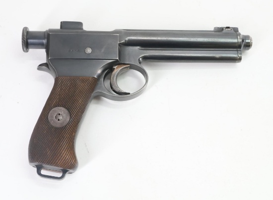 Hungarian Roth-Steyr M1907 Semi Automatic Pistol | Guns & Military ...
