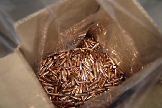 Approximately 16.5 Lbs. Repackaged 243 Bullets for Reloading | Guns ...